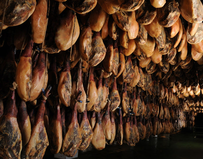 Pata Negra - La Excelencia del Cerdo Negro